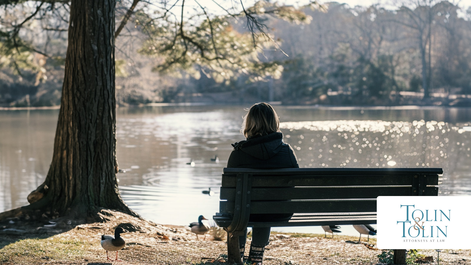 Navigating Legal Matters in Divorce, Alimony, and Division of Debts ...